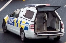 Dogpod Design - Gallery